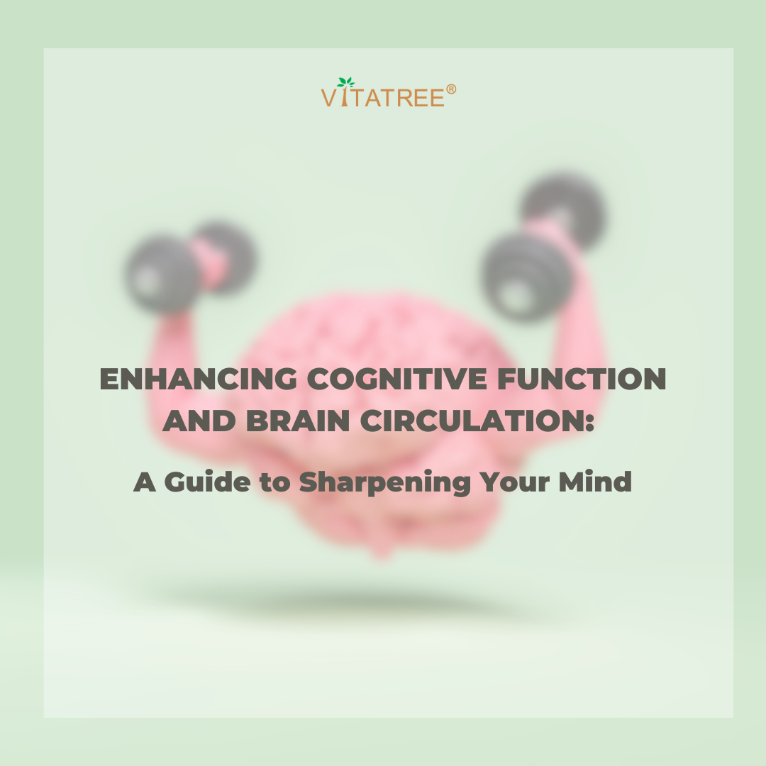 Enhancing Cognitive Function and Brain Circulation: A Guide to Sharpen ...