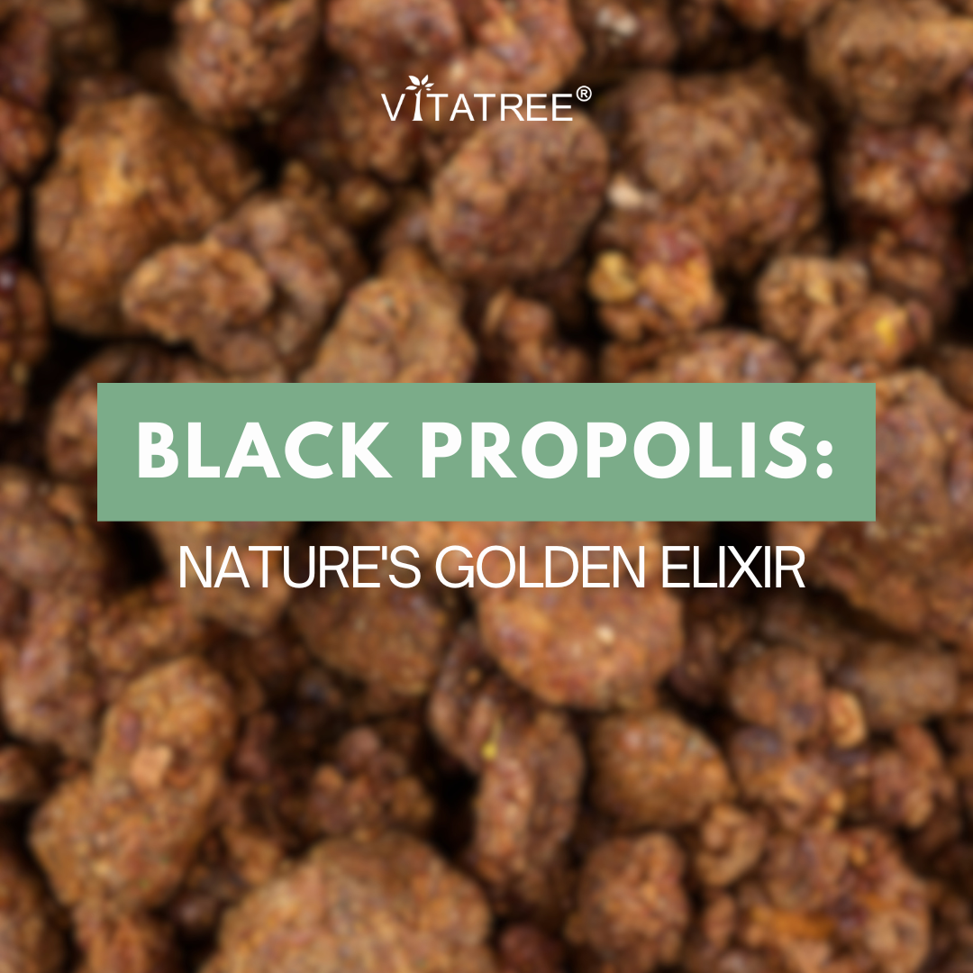 Black Propolis: Nature's Golden Elixir – vitatree.com.au