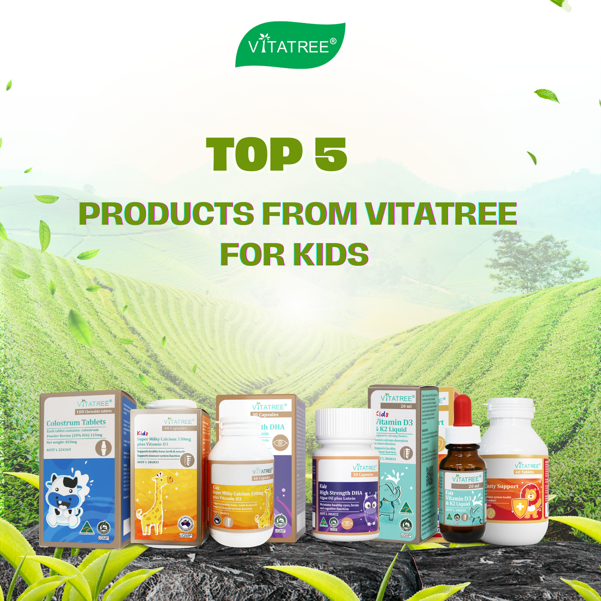 Top 5 Products from Vitatree for Kids – A Meaningful Nutritional Gift ...
